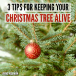 How to Keep Your Christmas Tree Alive - 3 Simple Tips
