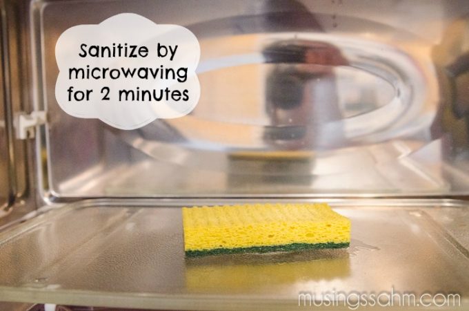 How to Disinfect a Kitchen Sponge without Chemicals - Living Well Mom