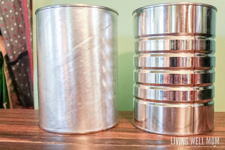 How to Make Coffee Can Ice Cream with Your Kids - Living Well Mom