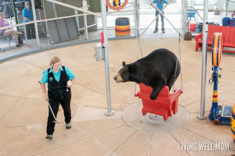 13 Reasons Clark's Trading Post is an Unforgettable Family Experience