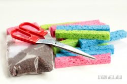 How to Sprout Seeds on a Sponge Garden