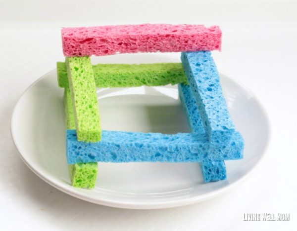 How to Sprout Seeds on a Sponge Garden