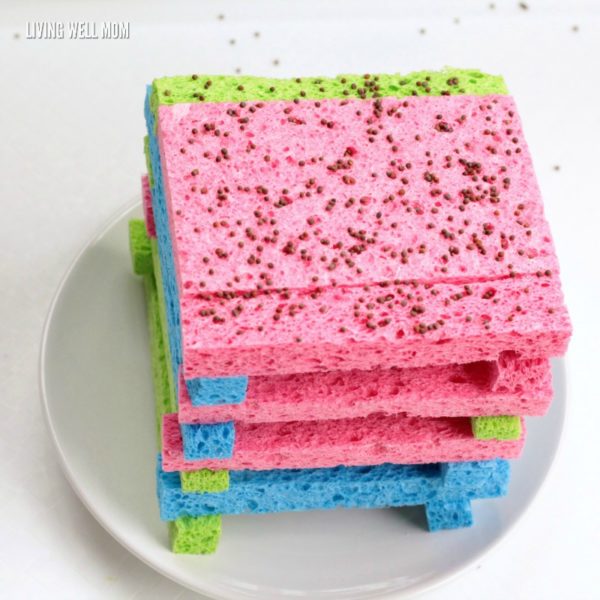 How to Sprout Seeds on a Sponge Garden