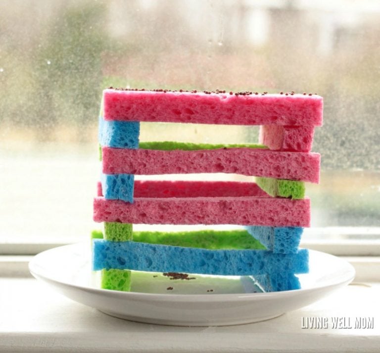 How to Sprout Seeds on a Sponge Garden