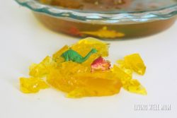 Jello Fossil Dig Sensory Activity