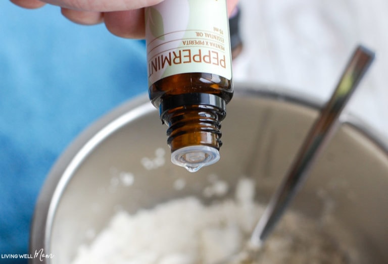 Homemade Anti-Itch Cream for Bug Bites - Living Well Mom
