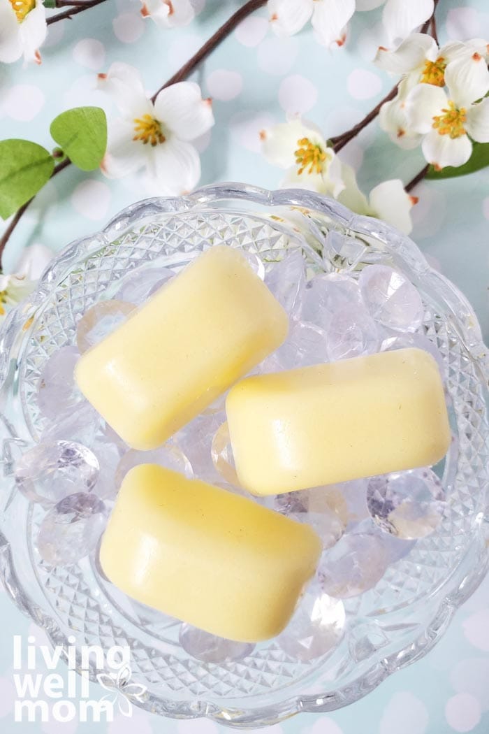 Easy DIY Sugar Scrub Bars: Only 5 All-Natural Ingredients - Living Well Mom