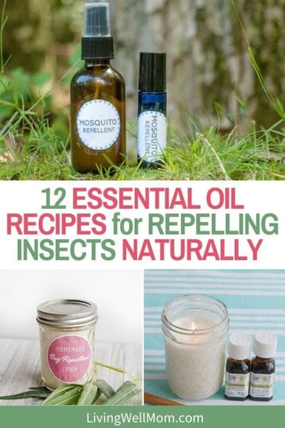 Essential Oils that Repel Bugs + How to Treat Bites