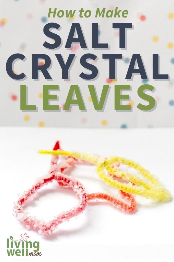DIY Leaf Crystals (Fun Fall STEM Activity) - Living Well Mom
