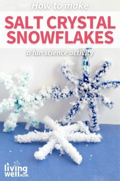 Salt Crystal Snowflake: Easy Winter STEM Science for Kids